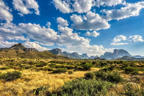 30 things Texas is Famous for