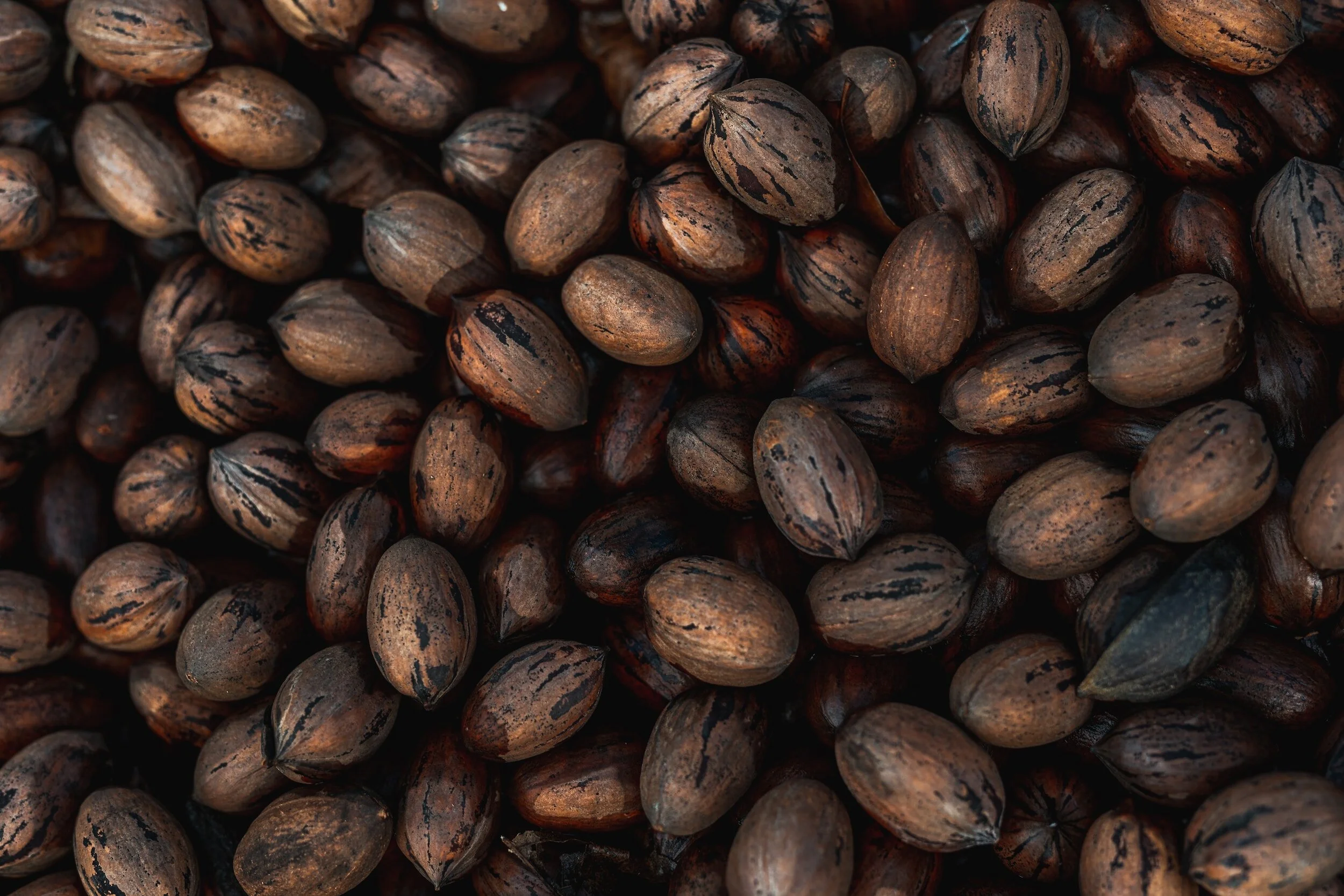How to Pronounce Pecan Correctly – A Guide to Pronunciation