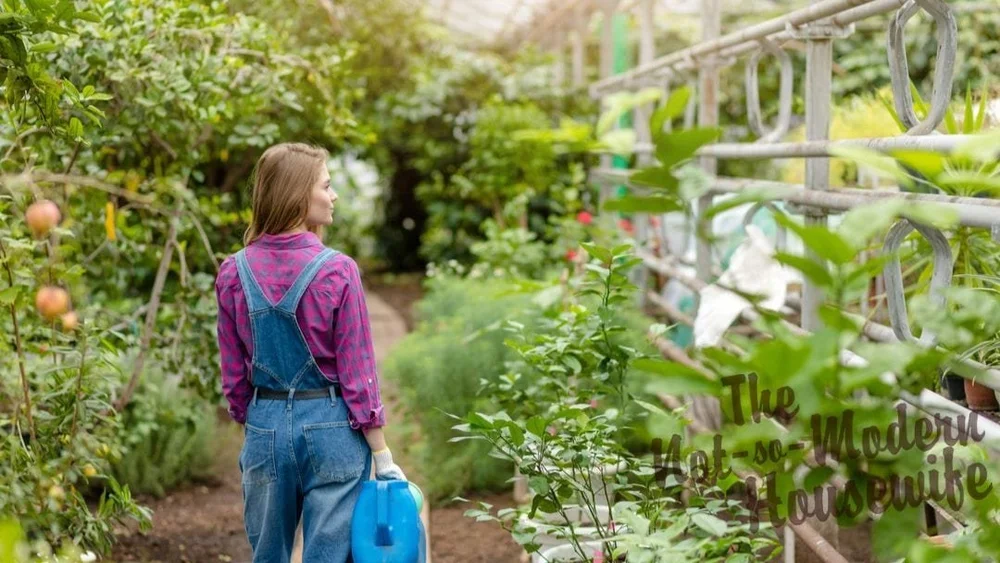 The Complete Guide on How To Be Self-Sufficient | A Step-by-Step Guide
