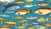 Culinary Delights: The Best Fish to Catch and Eat in California's Waters