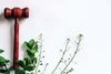 A Guide to Foraging in Texas | Learn Where and What to Pick in the Lone ...