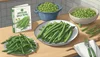 5 Tasty Green Beans Substitutes to Elevate Your Recipes