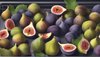 Preserve Your Figs: Easy Guide to Freezing Fresh Figs for Year-Round ...