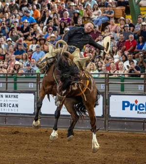 Discover the 10 Best Rodeos in Texas for an Unforgettable Cowboy Adventure