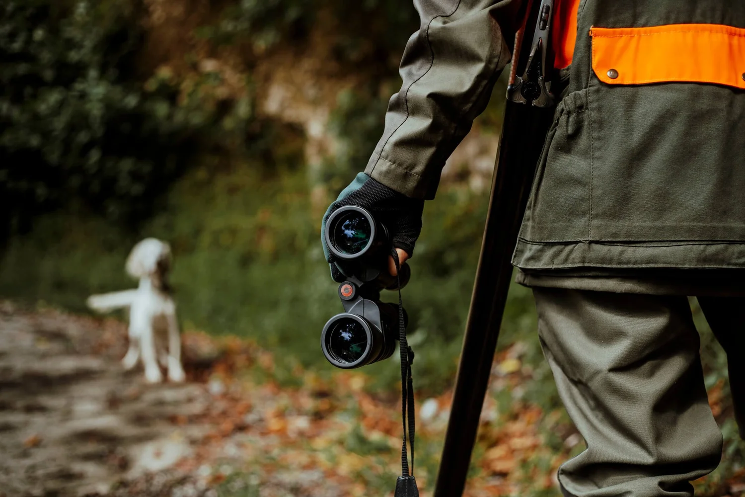 How to Get a Hunting License in Pennsylvania