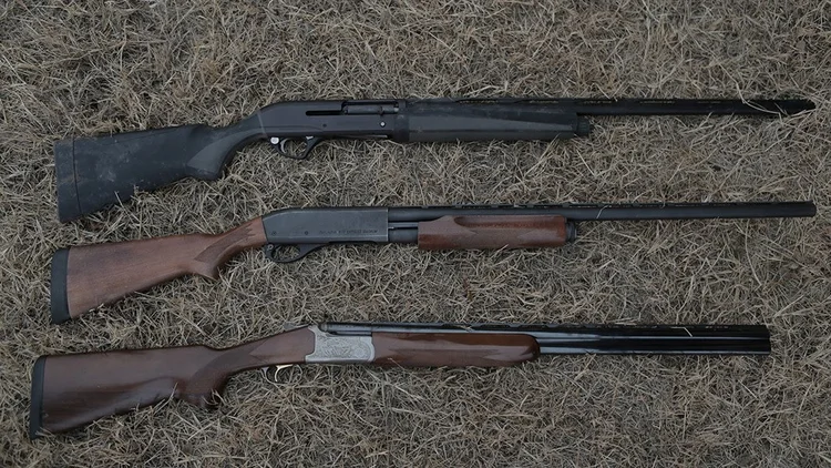Best Guns for Hog Hunting in Texas | Top Picks & Expert Tips