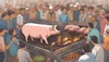 Grill Mastery: How to Perfectly Grill a Whole Pig for Unforgettable Flavor