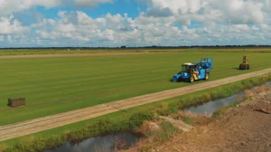 King Ranch: A Legendary Legacy of Texas Ranching History