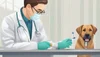 Mastering Veterinary Medication Administration: The Ultimate Guide to ...
