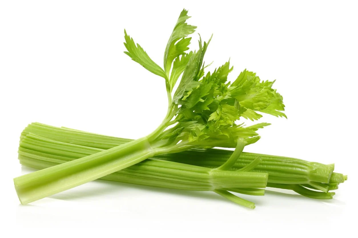 Stew and Soup Essential: Texas Celery | The Perfect Winter Veggie
