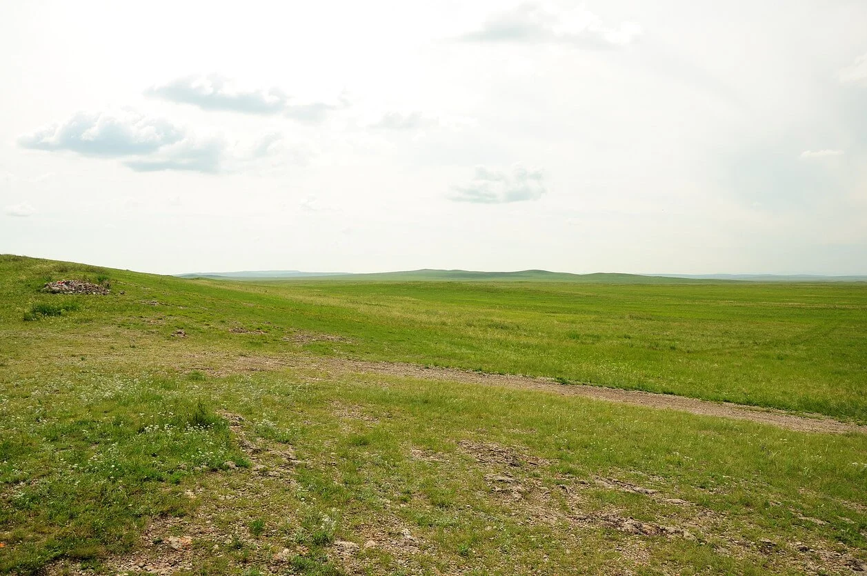 Texas & Beyond: The Best Pasture Grasses in the Region