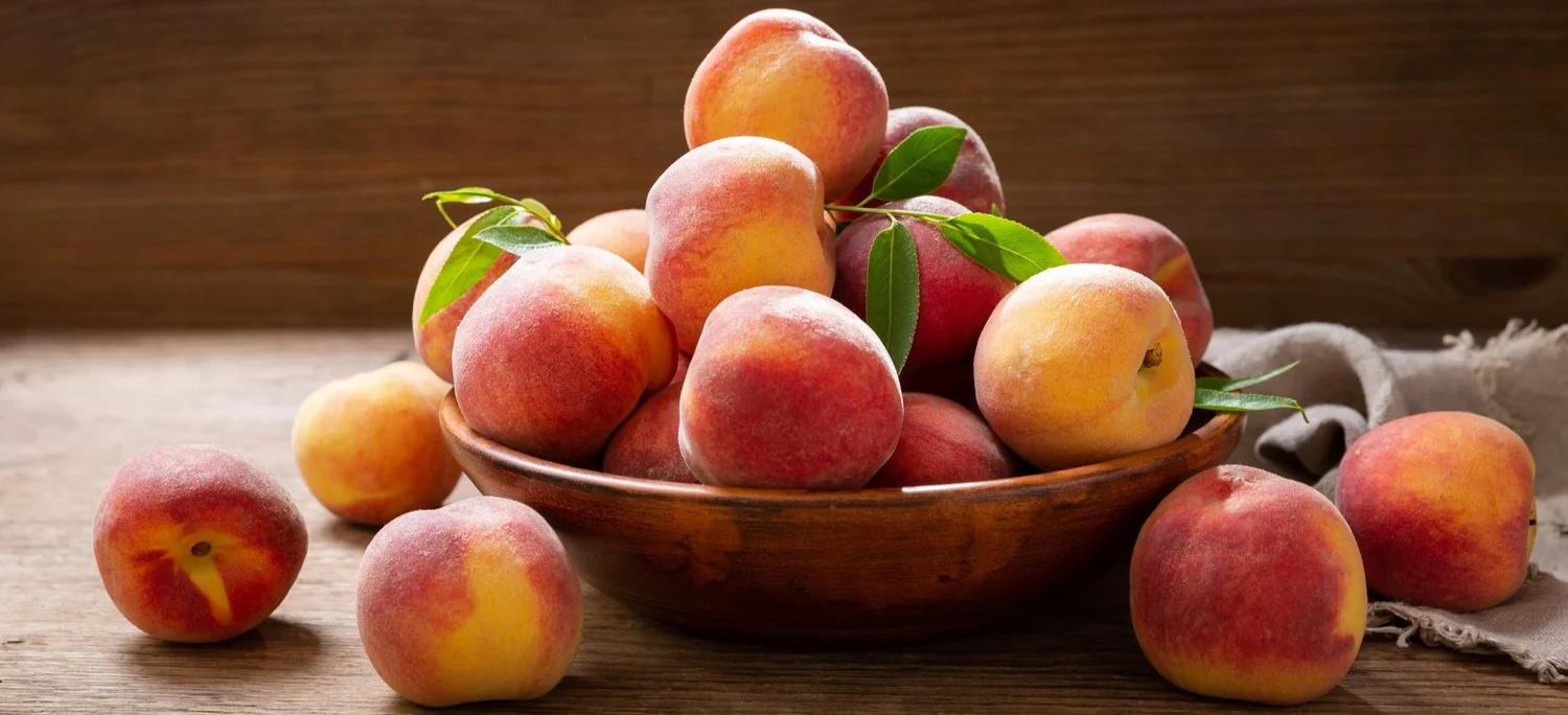 5 Best Peach Farms in Fredericksburg You Should Try