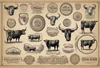 Historic Texas Cattle Brands: A Comprehensive Guide to Their Significance