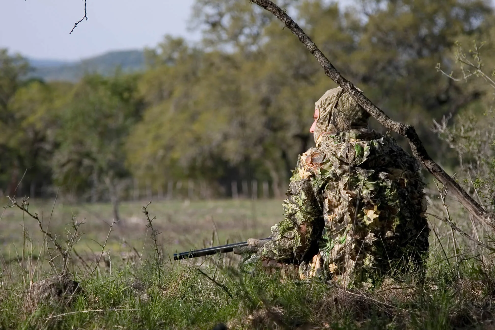 Texas Nilgai Antelope Hunting Information | All About The Outdoors