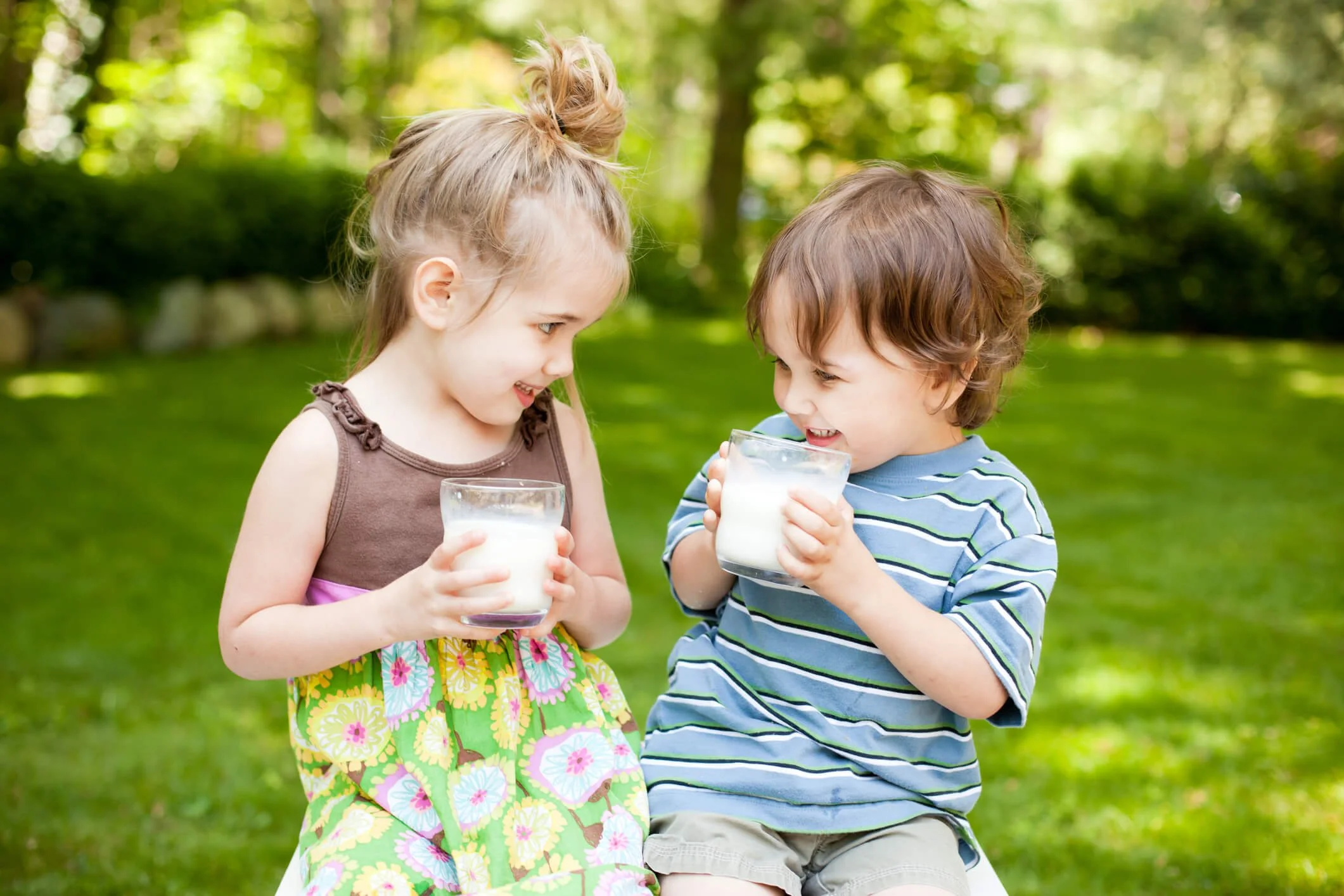 Raw Milk Colorado: A Comprehensive Guide | Get the Facts!