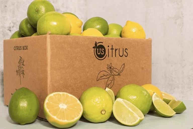 6 Texas Citrus Farms for the Best Oranges & Grapefruits 2022-2023 ...