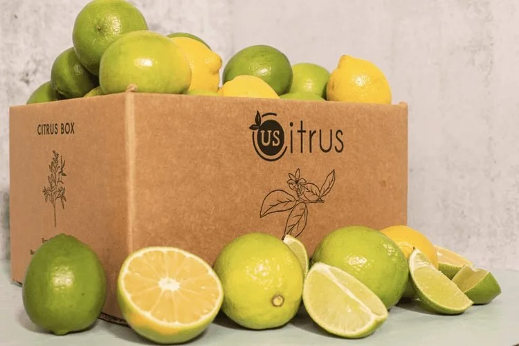 6 Texas Citrus Farms for the Best Oranges & Grapefruits 2022-2023 ...