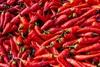 How To Ferment Peppers & Turn Them Into Hot Sauce | Create Your Own ...