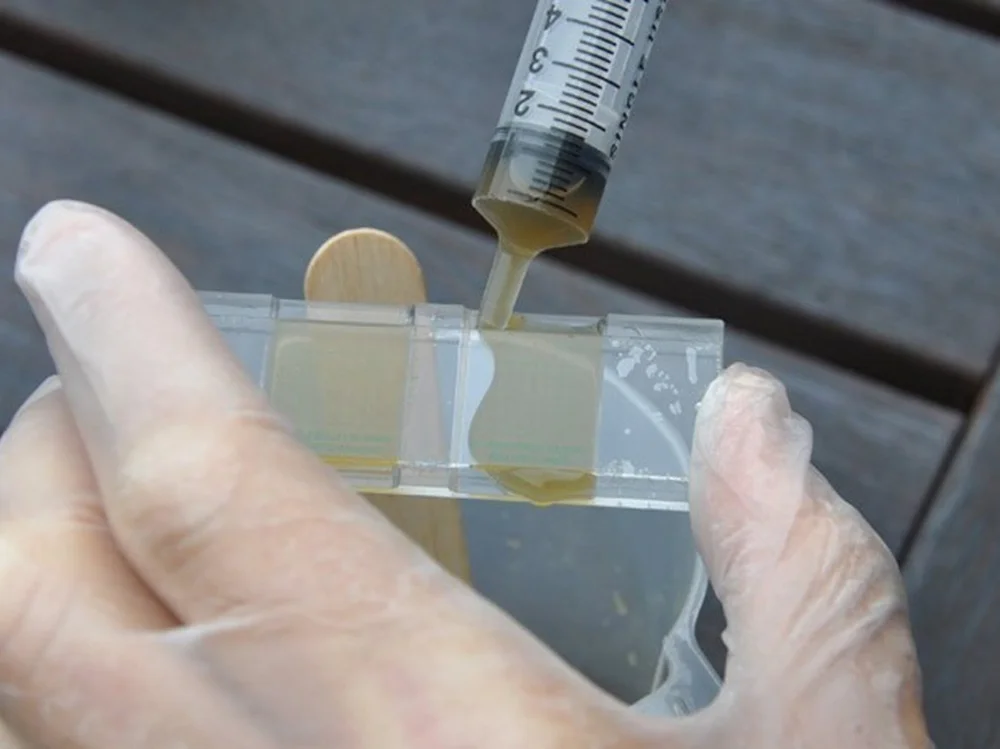 Deworming Goats: A Step-by-Step Guide to Healthy Herds