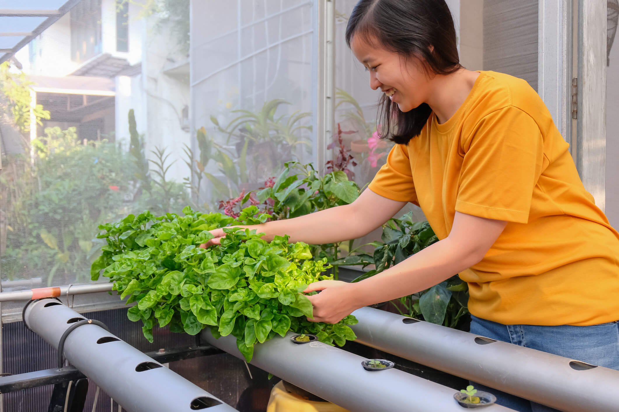 Best Home Hydroponic Equipment in 2023: Top Picks for Gardeners
