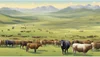 Legacy Unveiled: The Storied History of the King Ranch