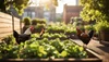 Rooftop Chicken Keeping: 8 Essential Tips for Raising Chickens on a ...