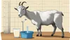 Decoding the Fat Content: Understanding the Nuances of Fat in Goat Milk