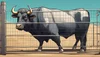 Safely Managing Bulls on the Farm: Essential Handling Tips for Cattle ...
