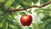 Mastering Ripeness: How to Tell If an Apple Is Ripe