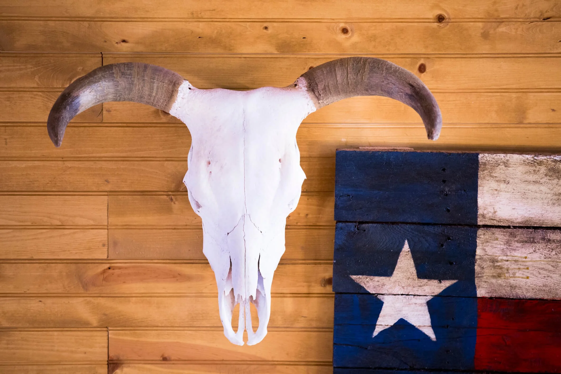 Texas Hunting Lodges for the Best Hunting Experiences | The Lone Star State