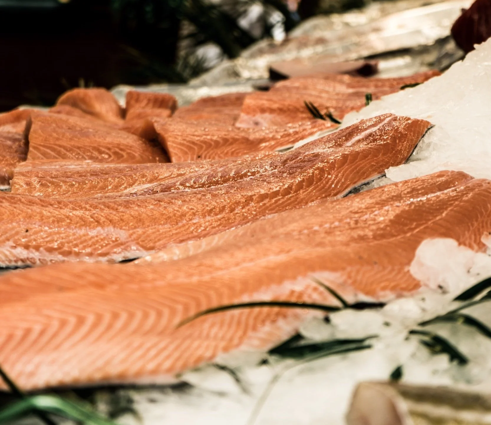 8 Markets To Buy Fresh Seafood From in Texas | A Comprehensive Guide