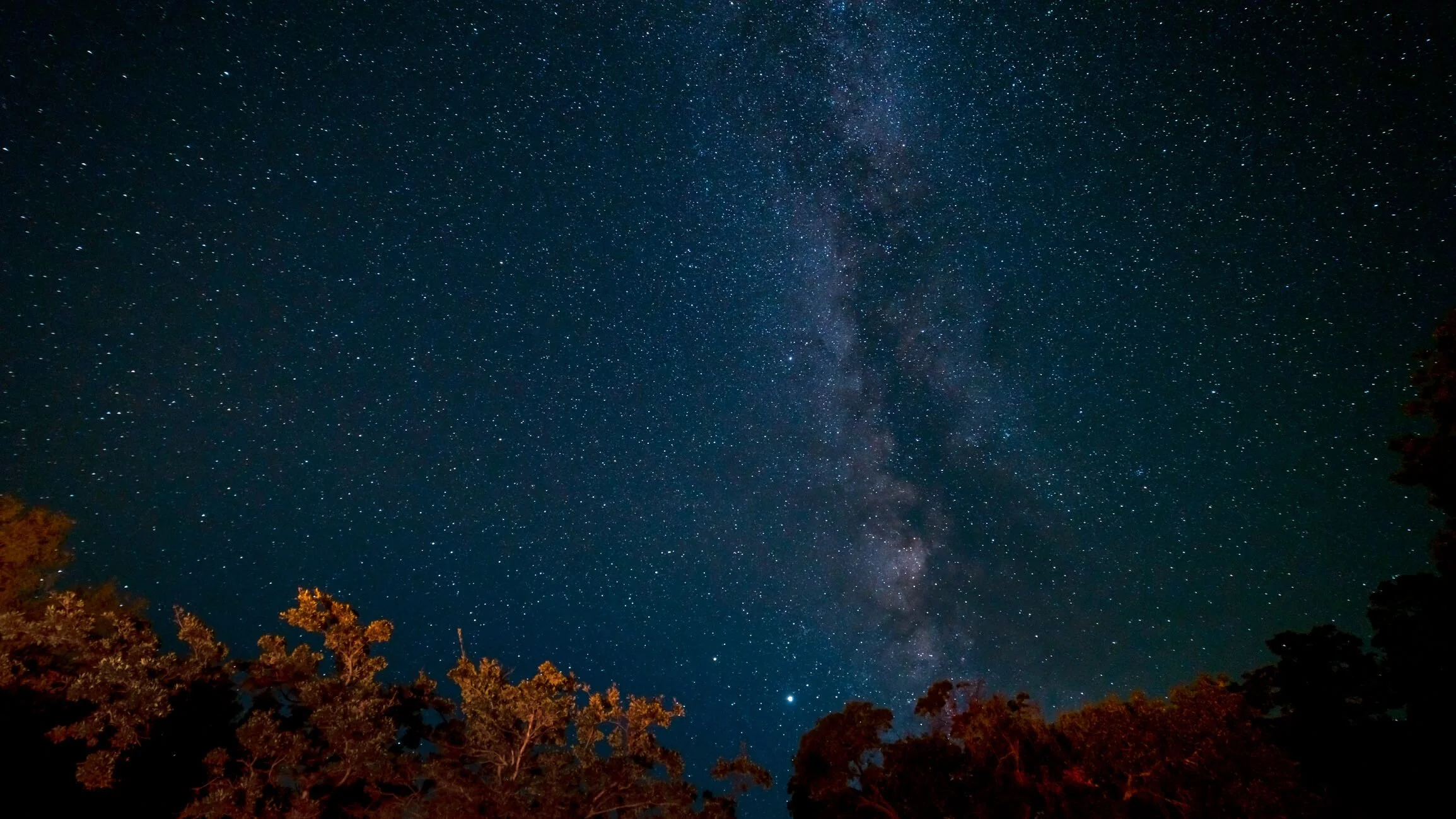 Wilderness Wonders Await: Camping and Foraging in Texas | Your Texan ...