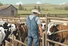 Cattle Ear Tagging : Efficient Methods and Best Practices