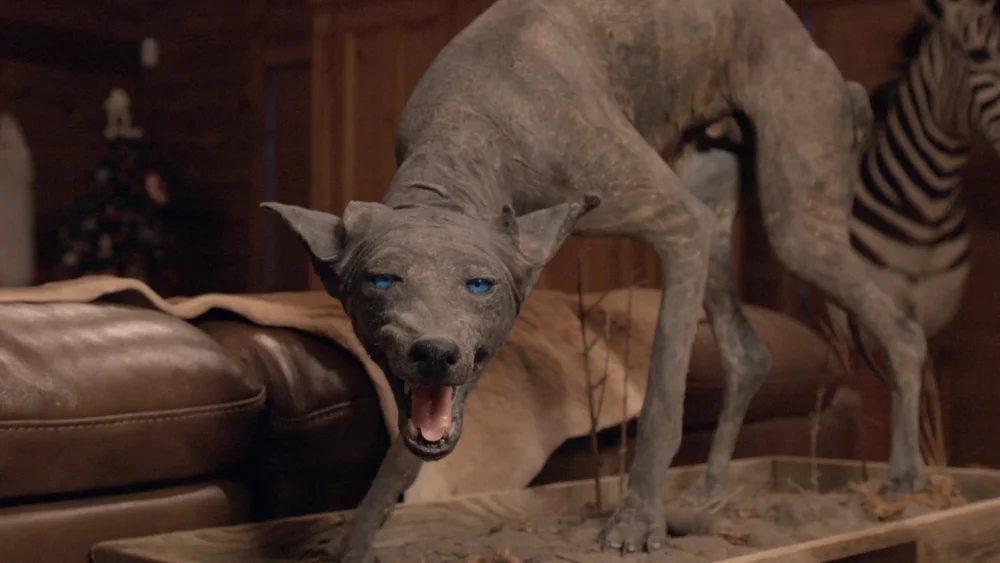 Unveiling the Mystery: The Legend of the Chupacabra and Its Enduring Legacy