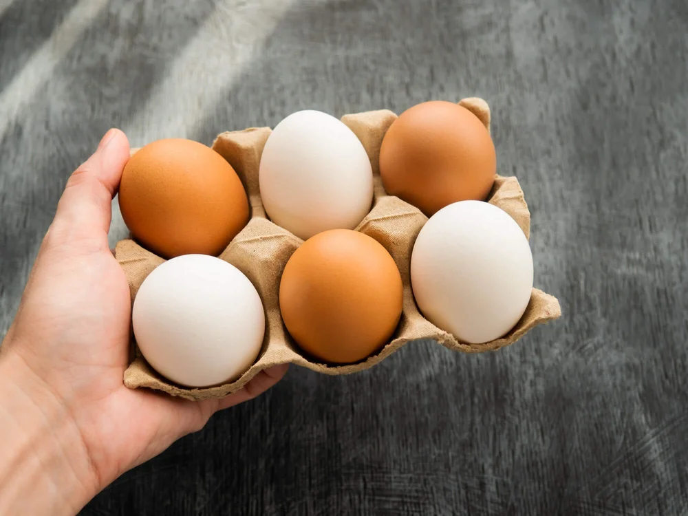 Guide to Selling Eggs at the Farmers Market