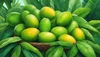 Green Mangoes: Exploring the Health Benefits of This Tropical Superfruit