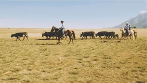 Explore 10 of the Biggest Ranches in Texas | Come Visit Texas