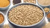 Top Foods High in Nickel: What You Need to Know