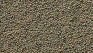 The Ultimate Guide to Lentils: Do They Expire and How to Tell If They ...