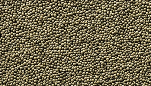 The Ultimate Guide to Lentils: Do They Expire and How to Tell If They ...