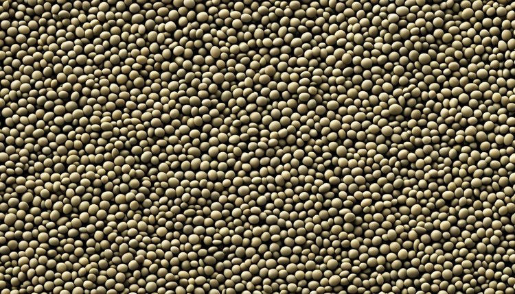 The Ultimate Guide to Lentils: Do They Expire and How to Tell If They ...