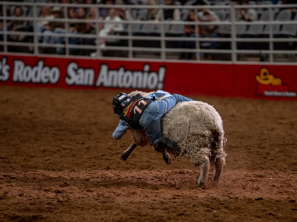 Discover the 10 Best Rodeos in Texas for an Unforgettable Cowboy Adventure