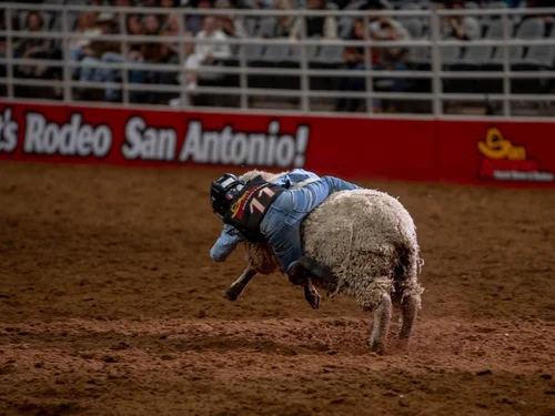 Discover the 10 Best Rodeos in Texas for an Unforgettable Cowboy Adventure