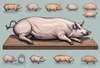 How to Cut Up a Hog: Expert Guide for Beginners
