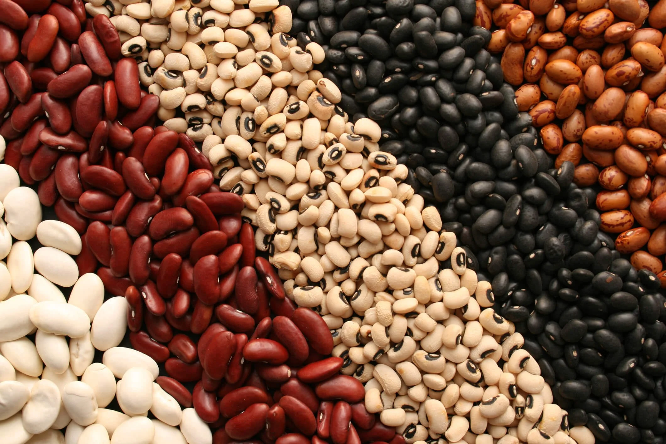 Dry Beans' Shelf Life: Ultimate Guide to Storage and Safety