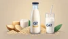 Diabetes and Oat Milk: Is It a Safe Choice for Blood Sugar Management