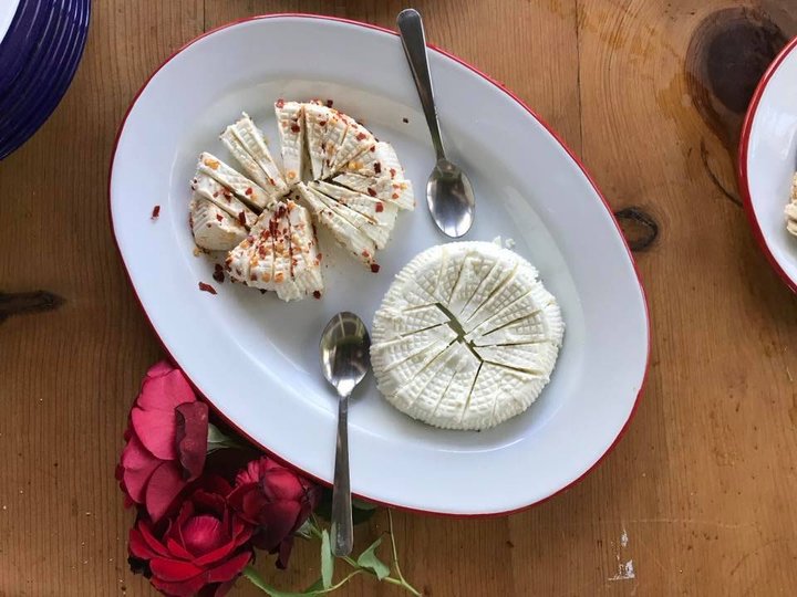 Pairing Perfection: Texas Cheeses for an Unforgettable Wine Tasting