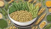 Top Foods High in DHEA: Boost Your Hormonal Health Naturally