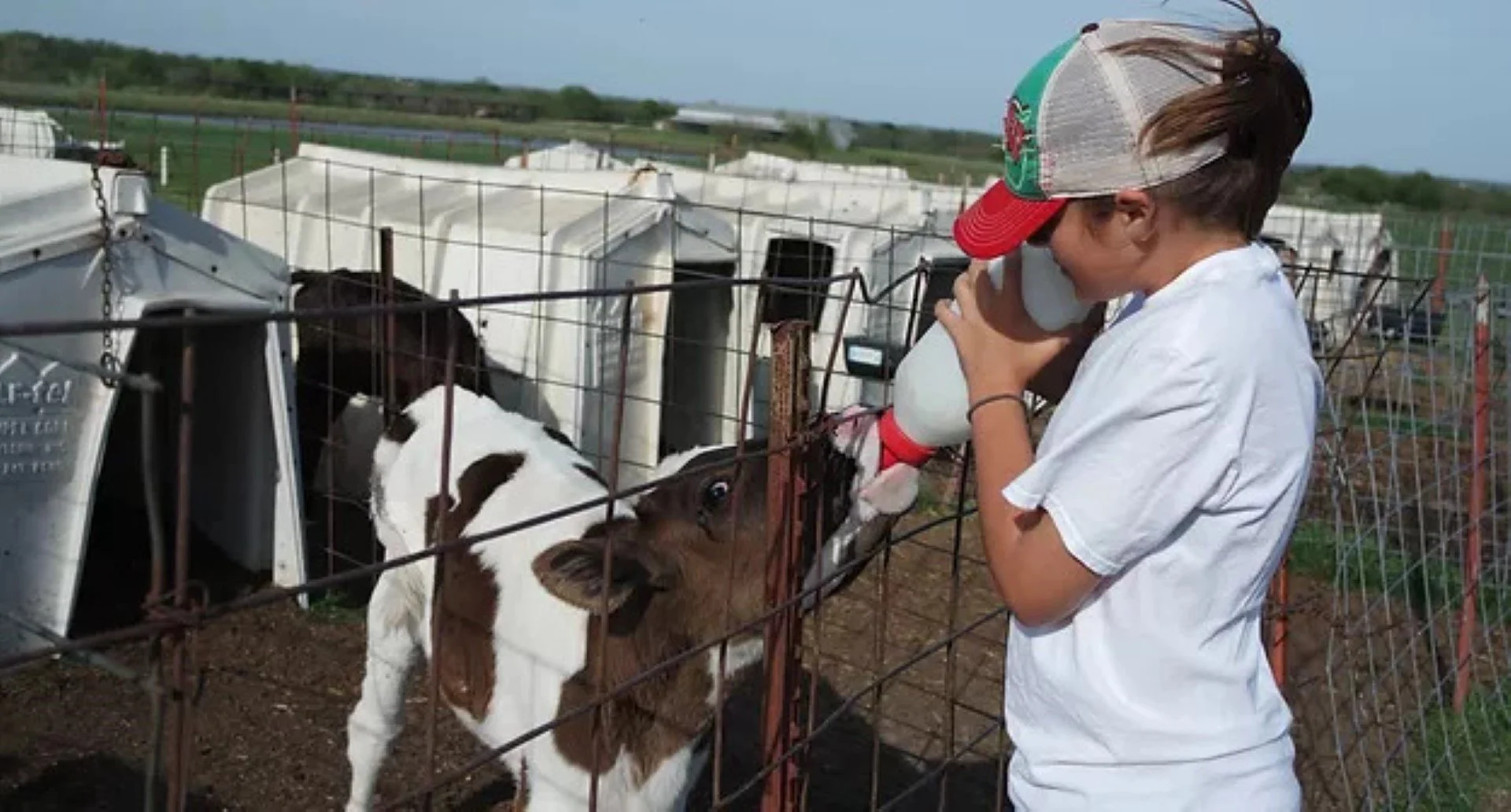 7 of the Best Family-Owned Farms Thriving in Texas