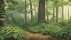 Unveiling the Culinary Treasures: Native Edible Plants in Kentucky ...